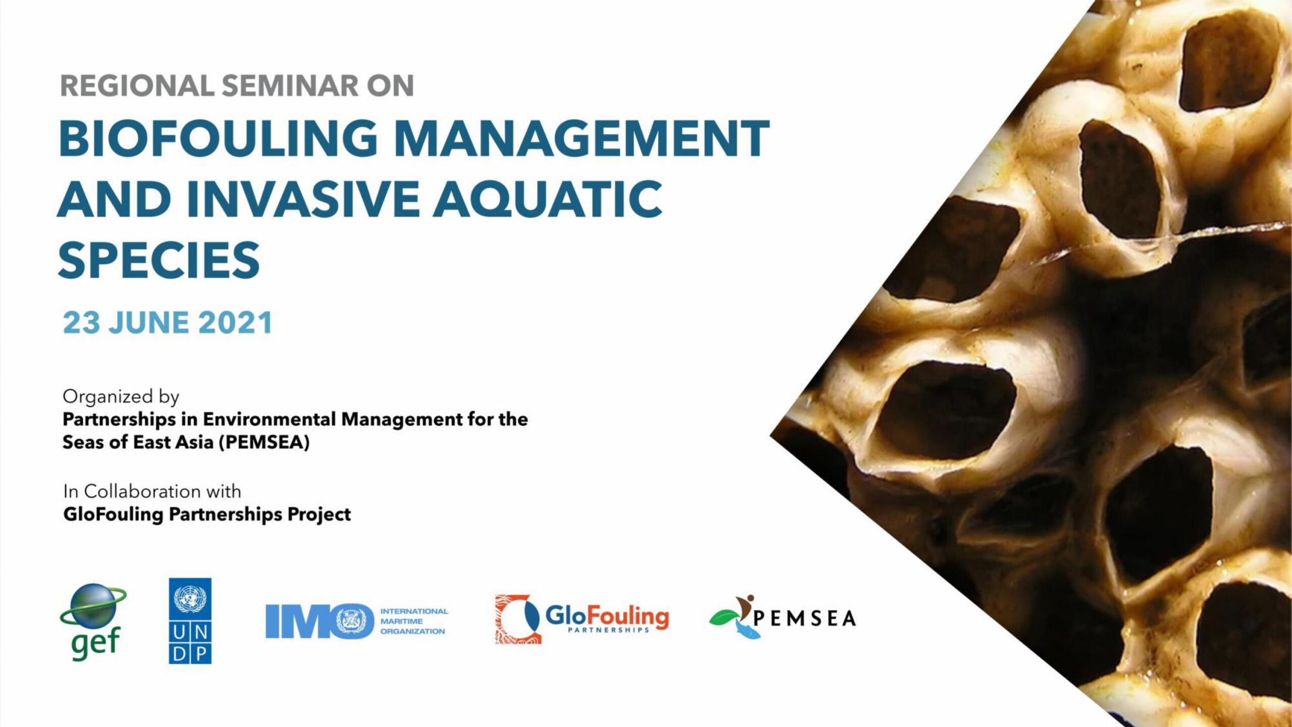 Biofouling Management and Invasive Aquatic Species - EAS Congress 2021